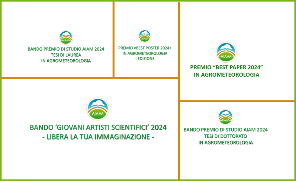 Bandi AIAM 2024 | AIAM